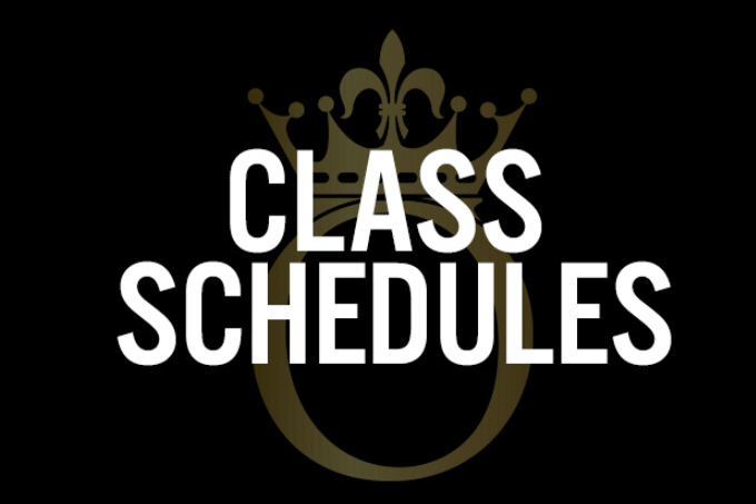 OUR PROGRAMS - ICONIC ALLSTARS